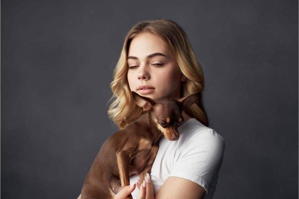 16 Best Companion Dogs (with Pictures) | PetMaximalist
