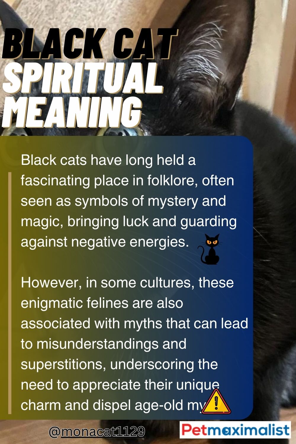 Black Cat Spiritual Meaning and Symbolism - Are They Bad Luck ...