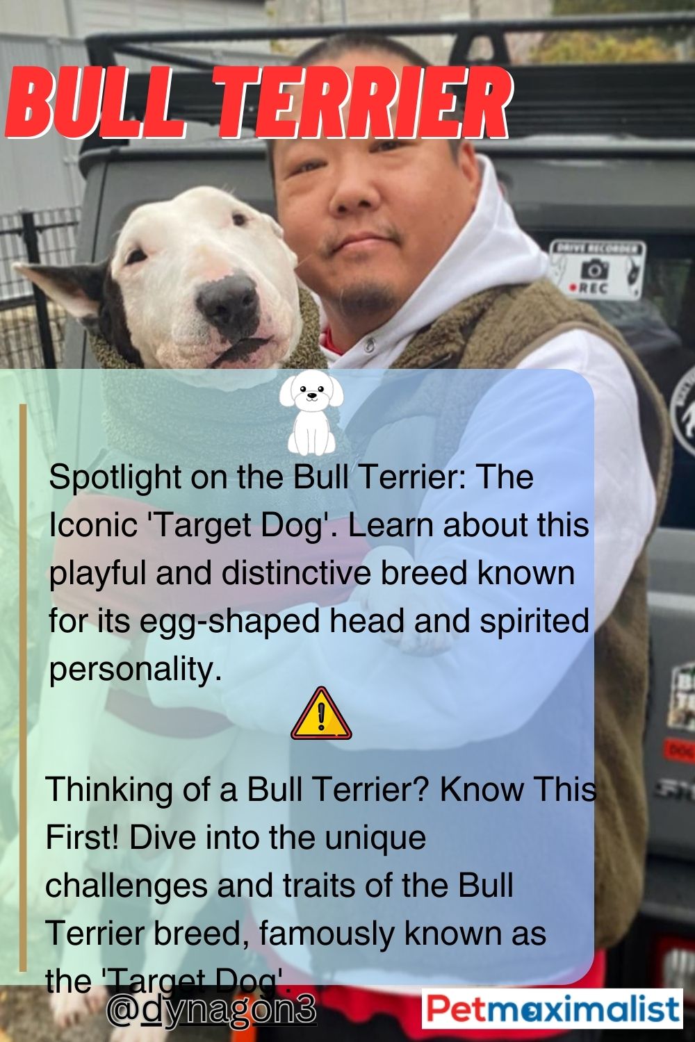 Target Dog Breed: Everything You Need to Know Before Owning | PetMaximalist