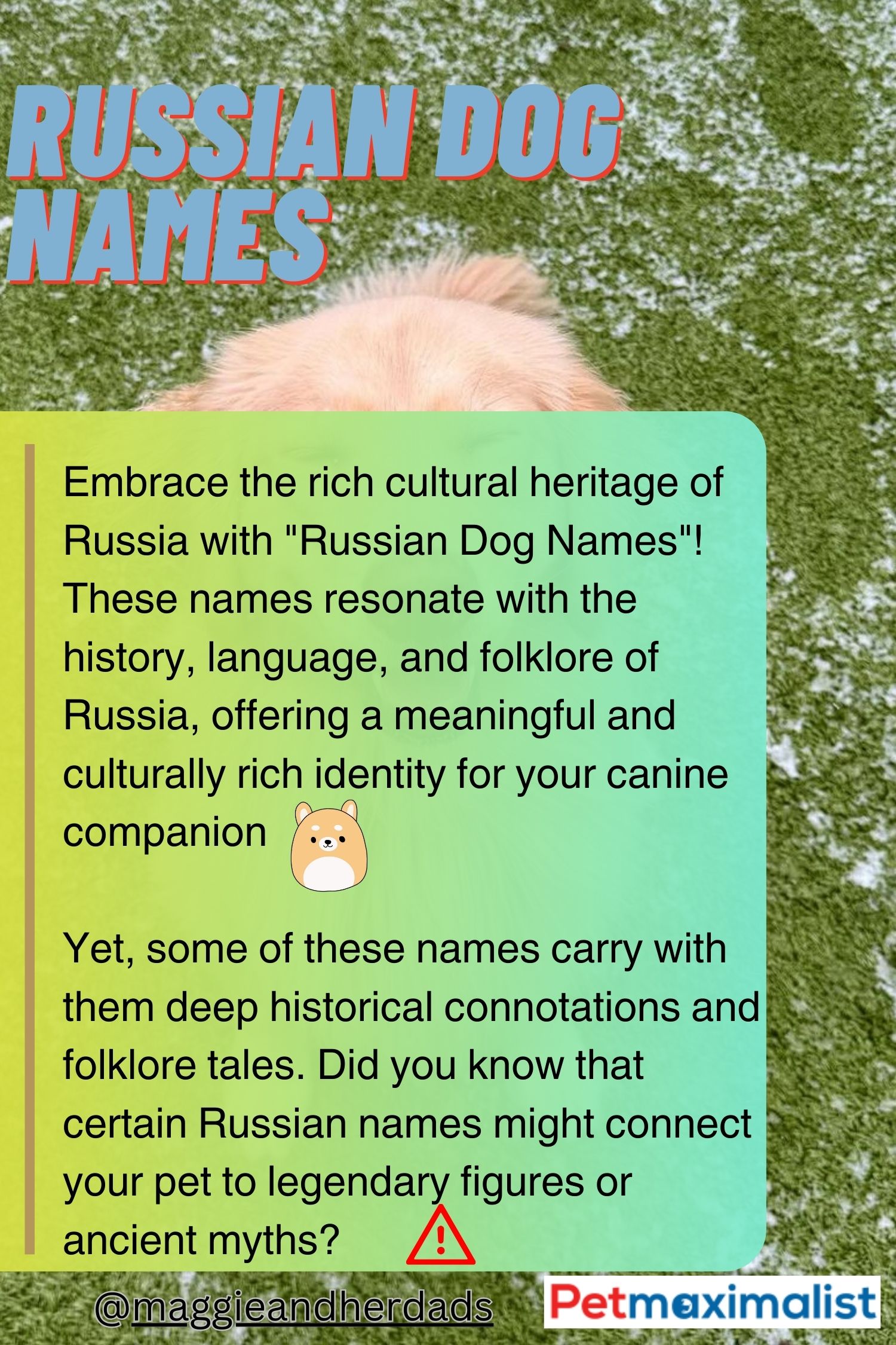200+ Russian Dog Names for Your Pawsome Fur Babies | PetMaximalist