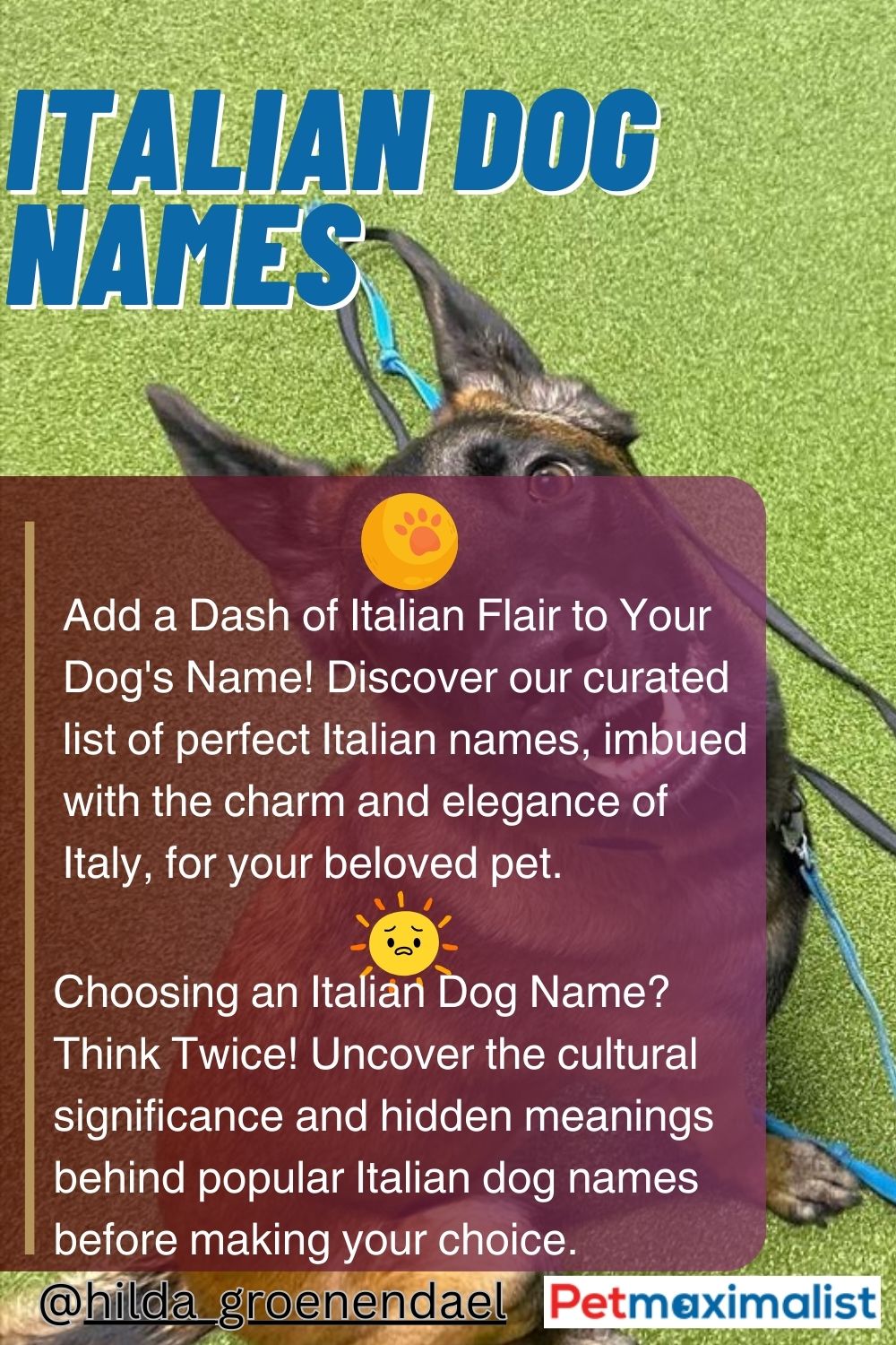 The Perfect Male and Female Italian Dog Names and Their Meanings ...