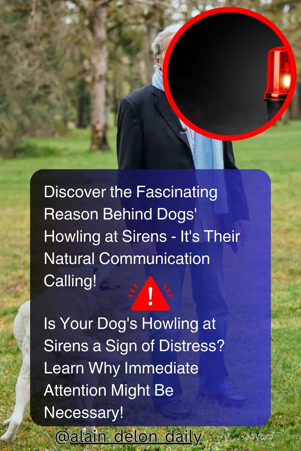 Why Do Dogs Howl at Sirens and Does It Hurt Their Ears? | PetMaximalist