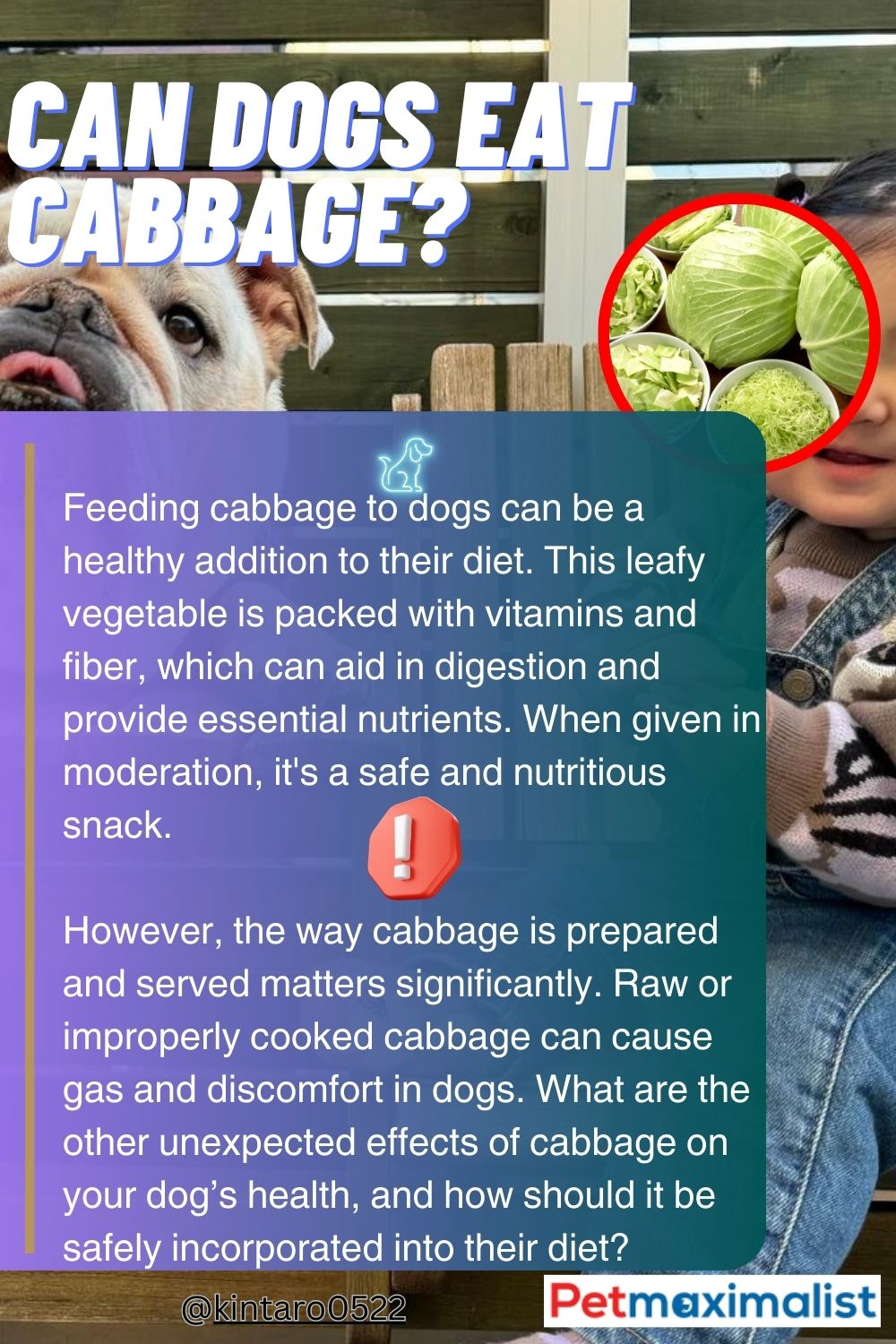 Can Dogs Eat Cabbage? | PetMaximalist
