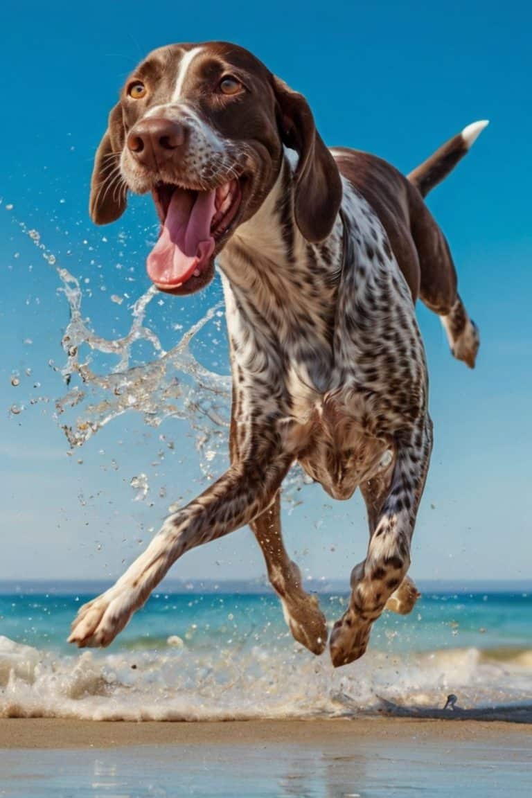Bird Dog Breeds: Uncovering Their Rich Hunting History & Predicting the ...