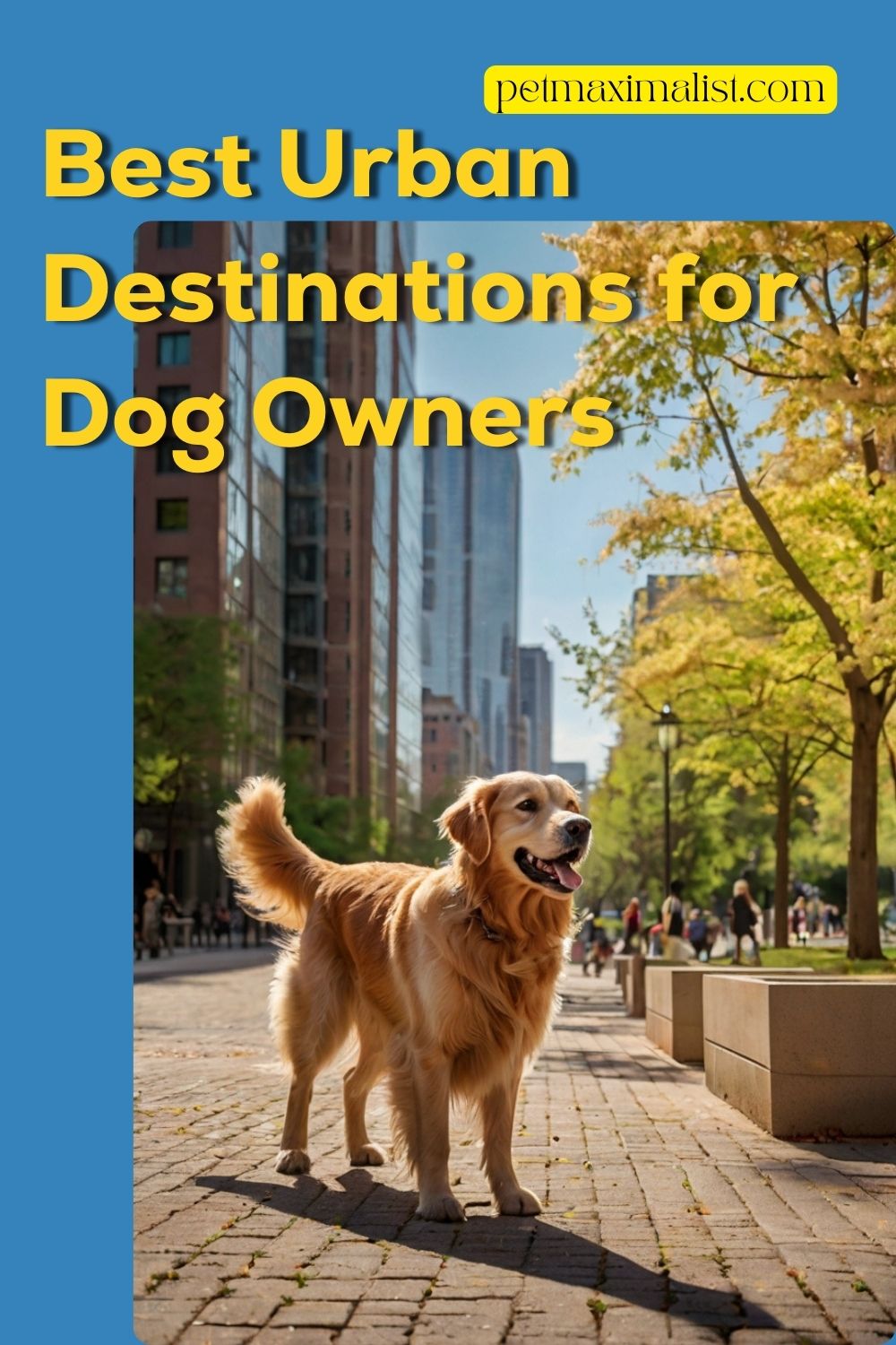 Best Vacation Destinations with Dogs: Uncover Hidden Gems and Pet ...
