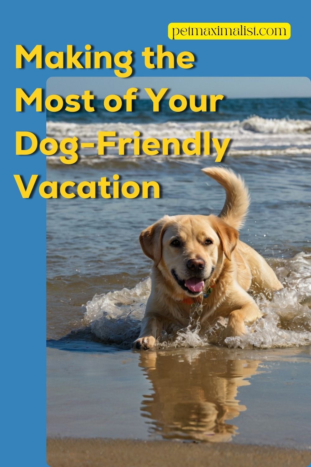 Best Vacation Destinations with Dogs: Uncover Hidden Gems and Pet ...