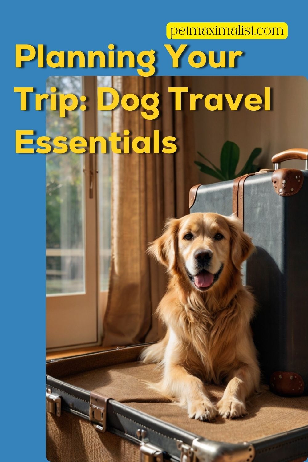 Best Vacation Destinations with Dogs: Uncover Hidden Gems and Pet ...