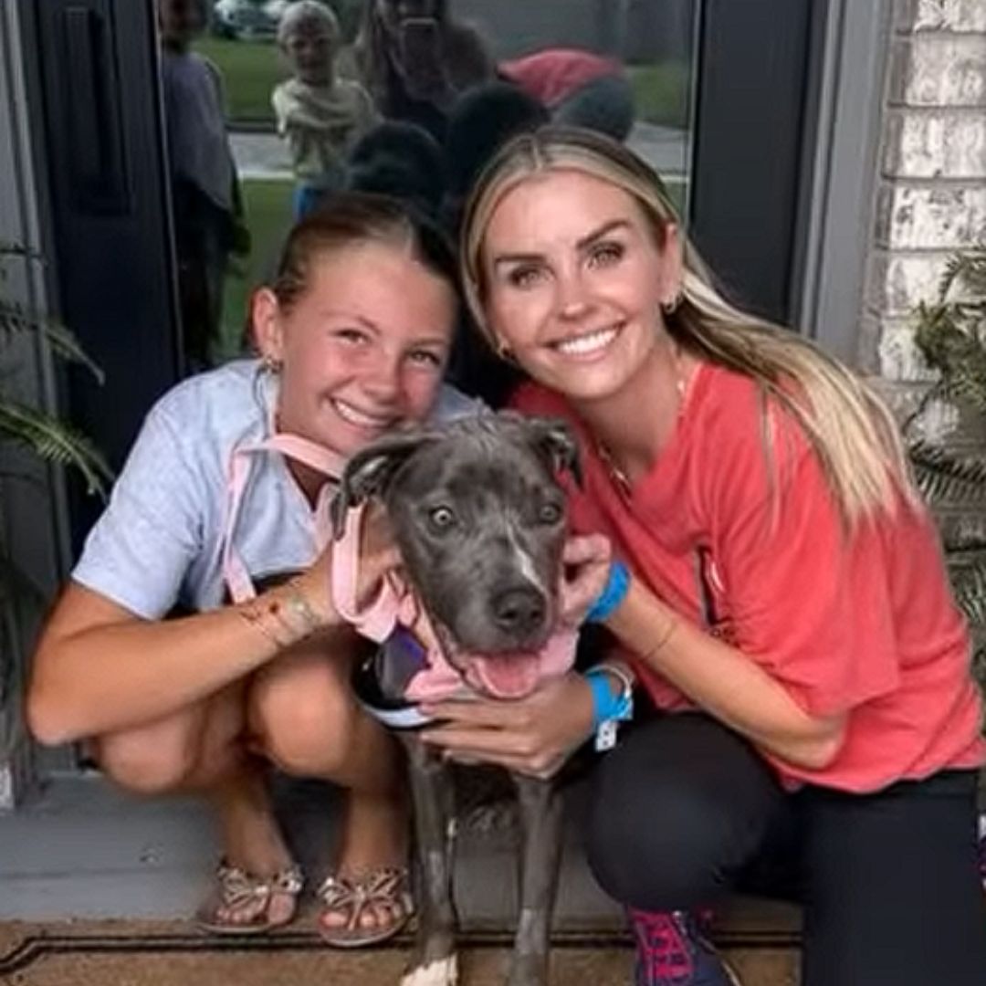 A Dog Named Fern, Found in the Heat, Loved at Last | PetMaximalist