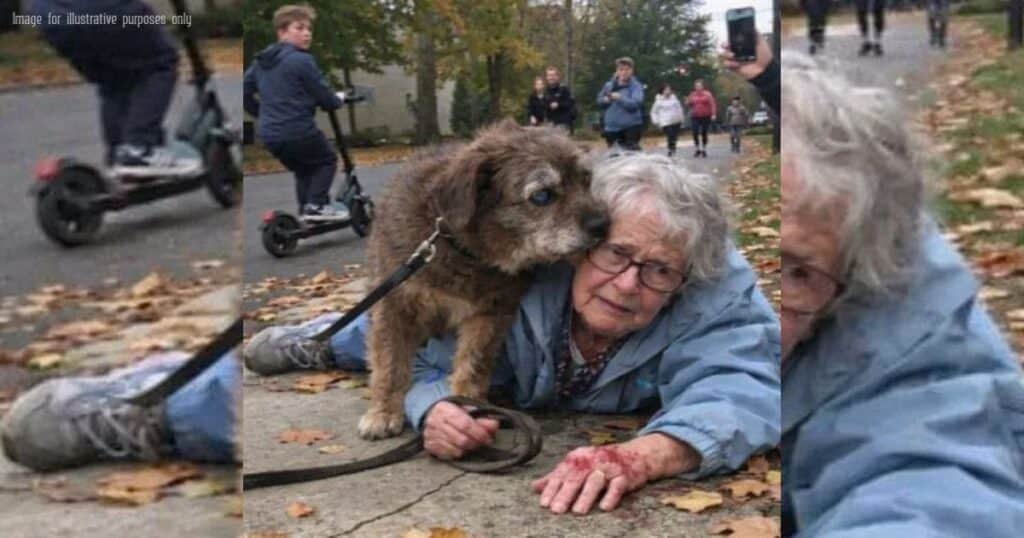 Half-Blind Dog, Half-Deaf Grandma: The ‘Public Hazard’ That Shamed a ...
