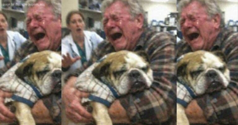 He Drove Through a Fence to Save His Dying Dog. What Happened Next Made ...