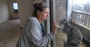 The Cat Left Behind Glass Who Taught a Family How to Remember ...