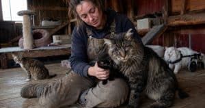 The Farmer’s One-Eyed Cat Led Me to the Secret That Saved Us ...